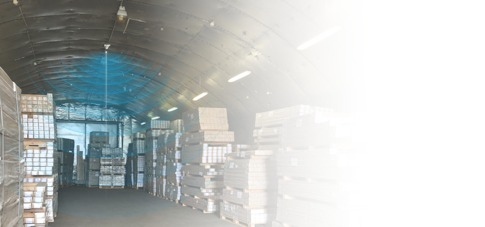 Industrial LuNAR Ceiling Detector - RISCO