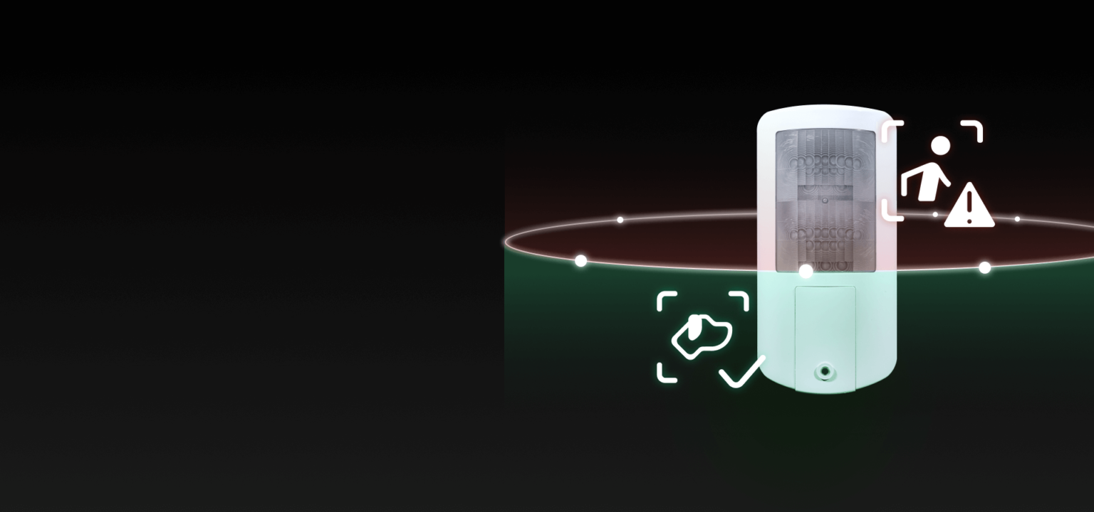 Beyond Outdoor Detector - RISCO