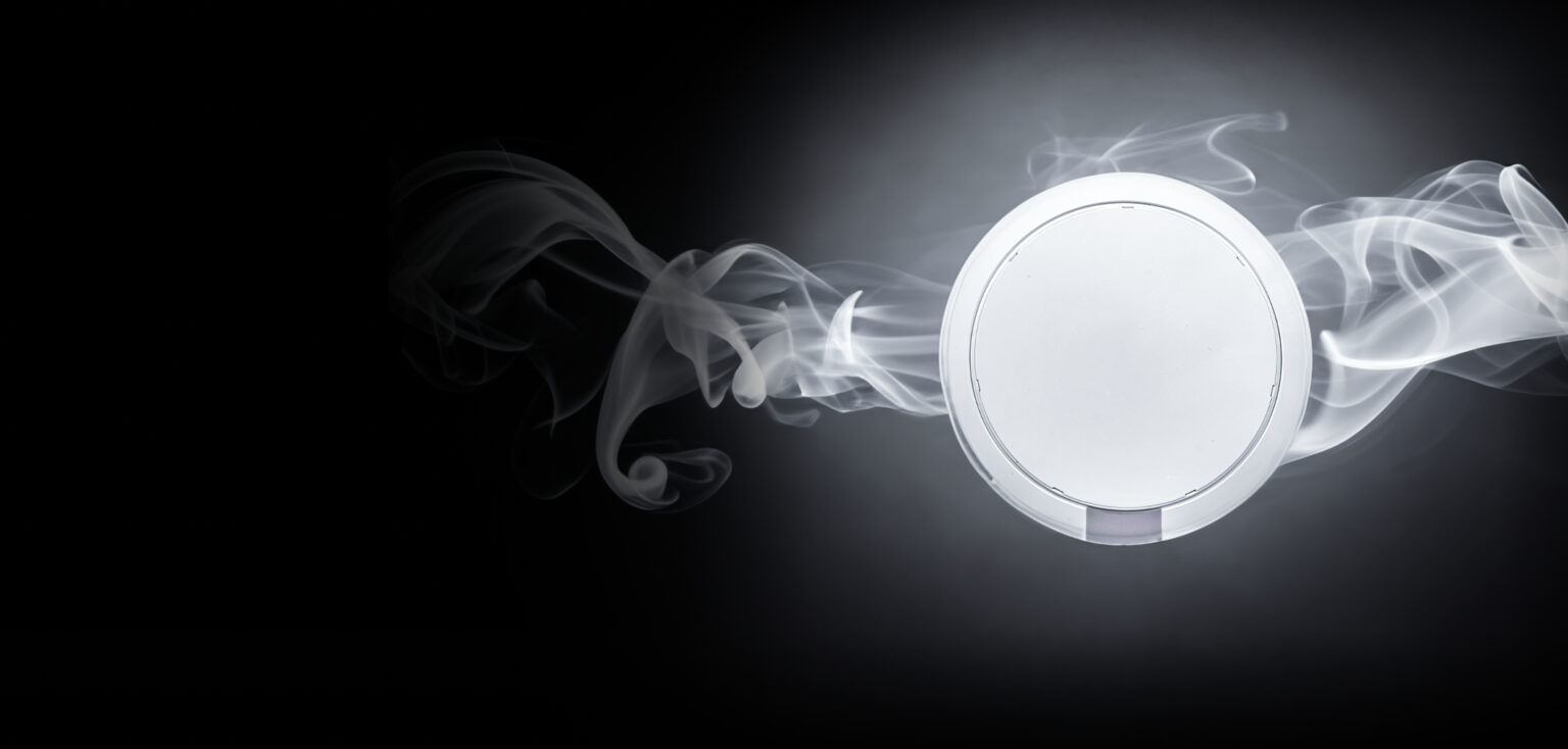 2-Way Wireless Smoke & Heat Detector - RISCO