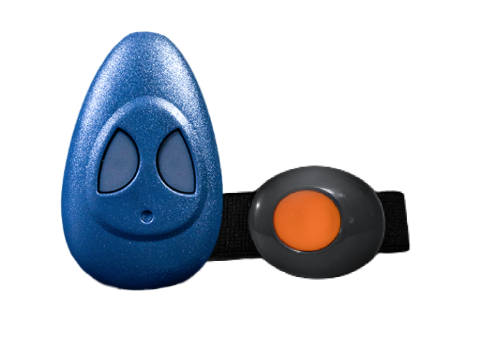 Panic Keyfobs - RISCO