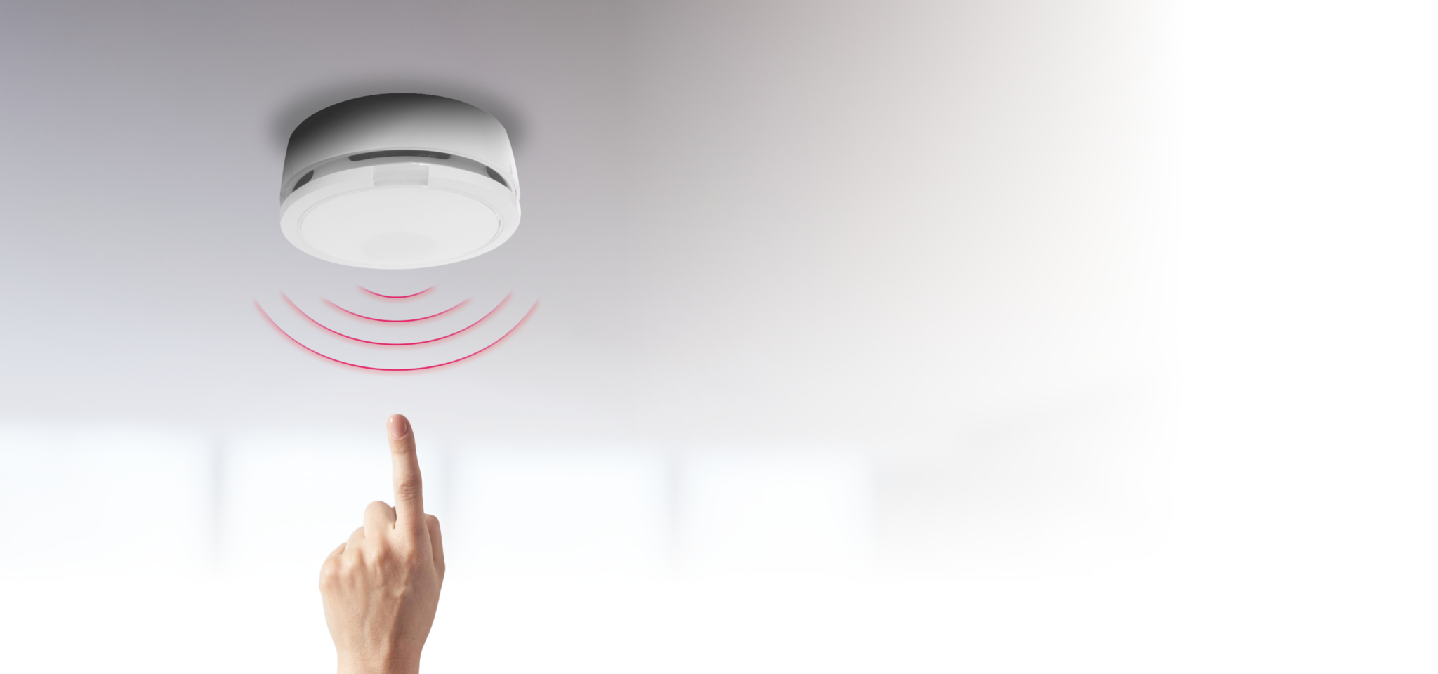 Wireless LuNAR FireWatch - RISCO